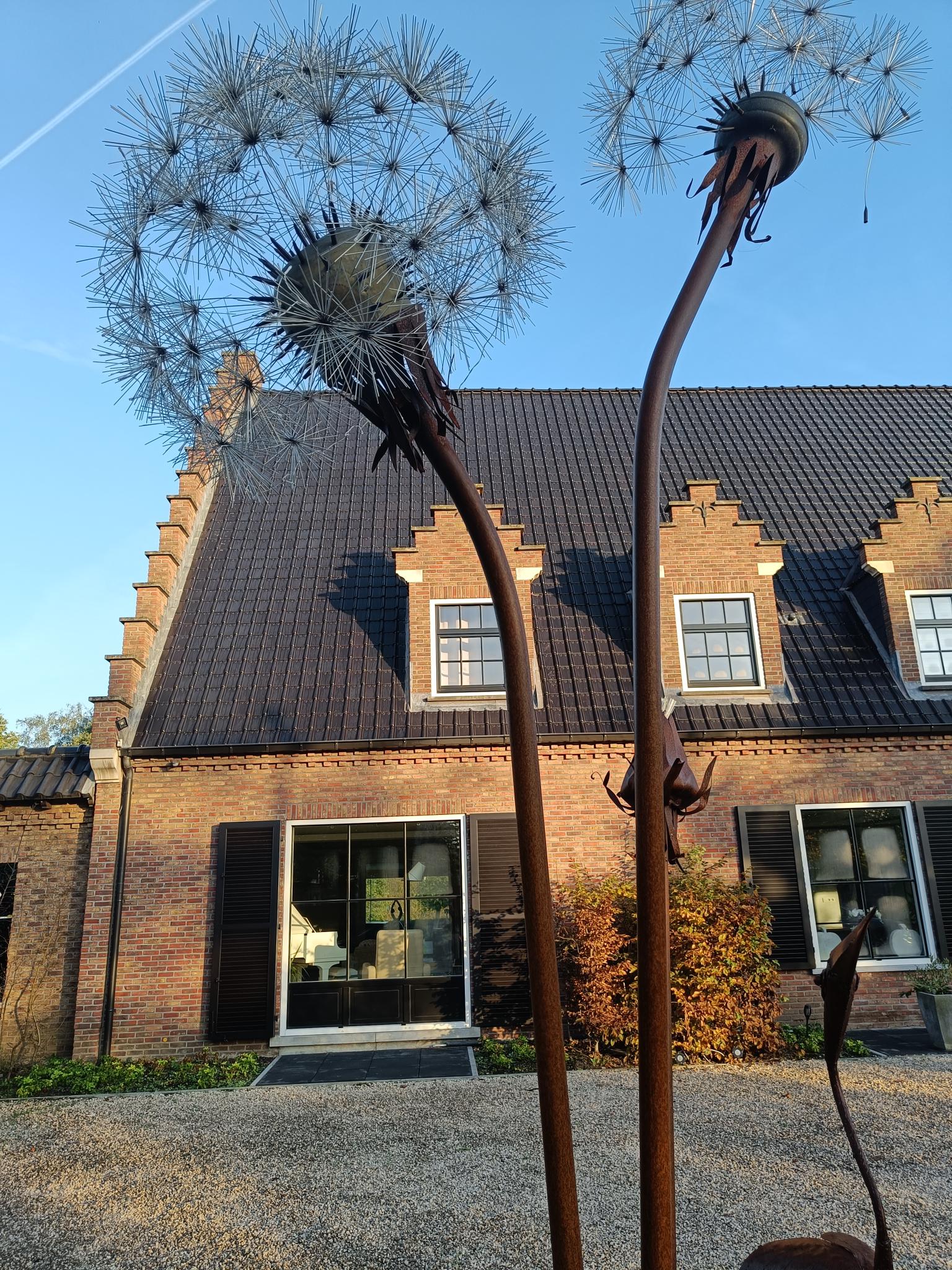 Bij burnout of stress kom naar uw adem coach in Heist-op-den-berg